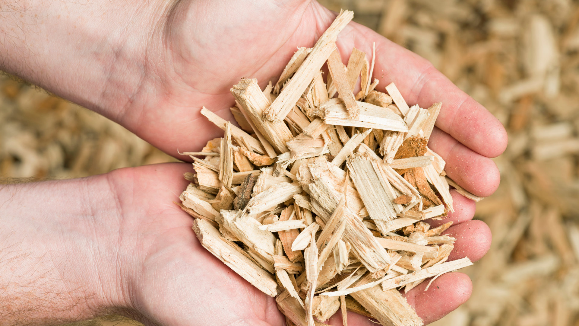 Wärme und Strom aus Biomasse (Serie: Wärmeerzeugung 2/4) | Thüga